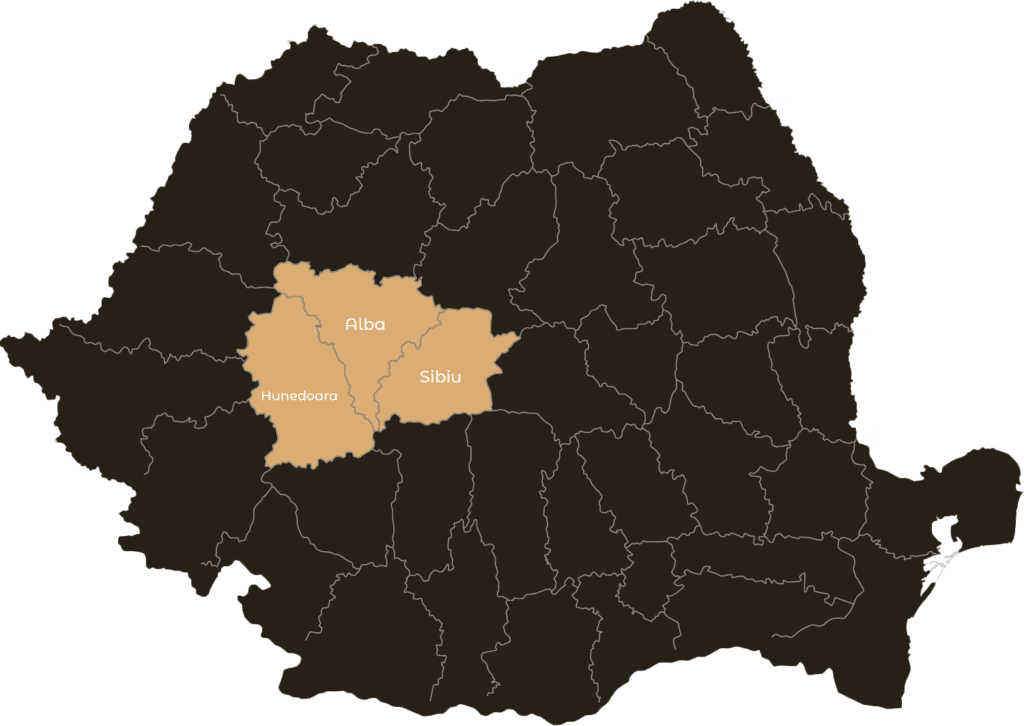 Executori Judecatoresti - Herlea si Prodea