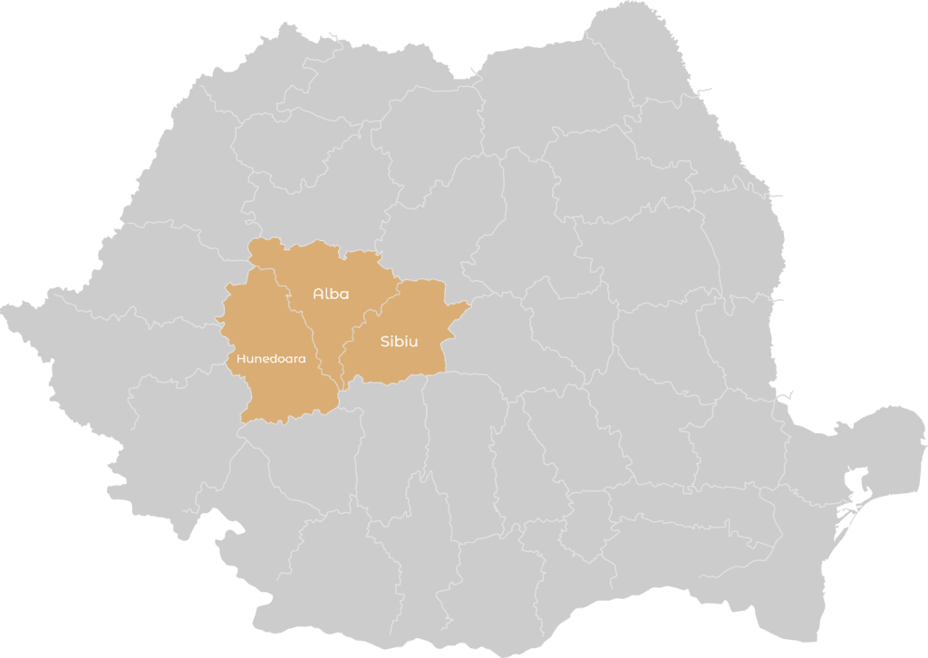 Acte necesare pentru dosarul de executare silita